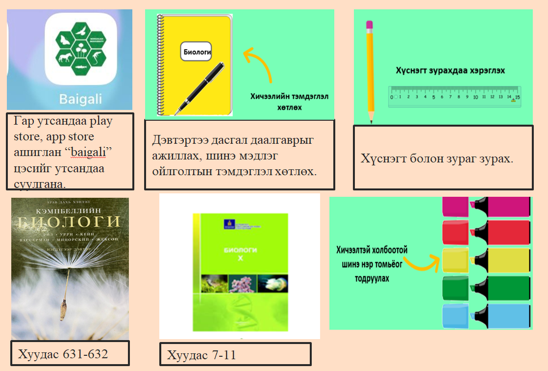 Мэдлээ Цахим контент